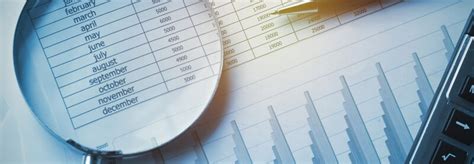 Basics Of Forensic Accounting