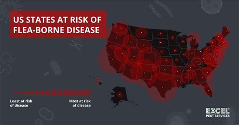 New Study Maps Threat Of Flea Borne Diseases To Us Citizens Pest