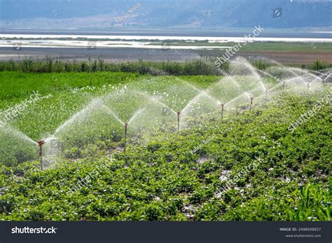 Types Of Crop Field Irrigation Systems