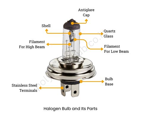 Halogen Bulb And Its Parts Working New Topic Poly Notes Hub
