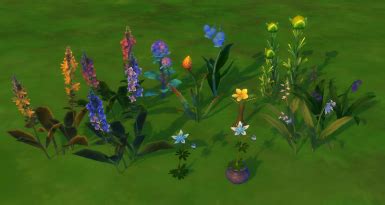 Zelda Breath Of The Wild Plants Botanical Beauties