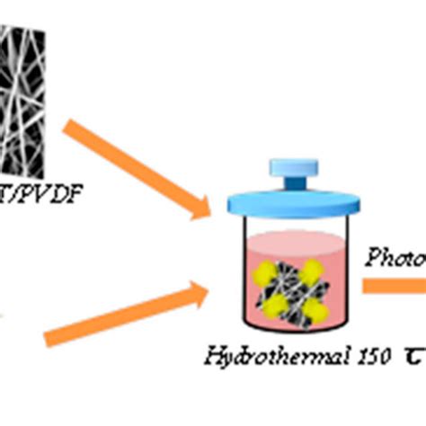 Schematic Illustration Of Photoinduced Charge Carrier Separation And