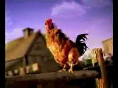 One Of My Favorite Commercials Of All Time Sexy Rooster Funny