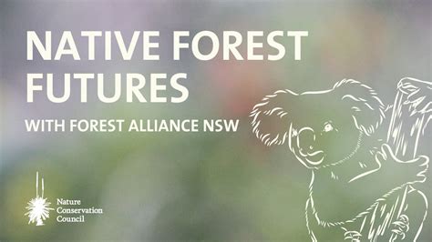 Native Forest Futures Panel W Forest Alliance Nsw Youtube