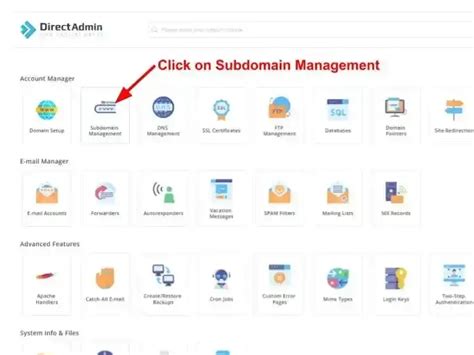 Guidance To Create Subdomains On Directadmin Hosting 9ledge Feed