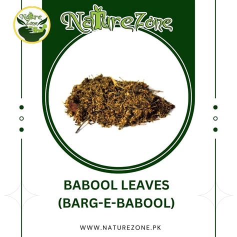 Babool Leaves Price In Pakistan Buy Pure Babool Leaves Online