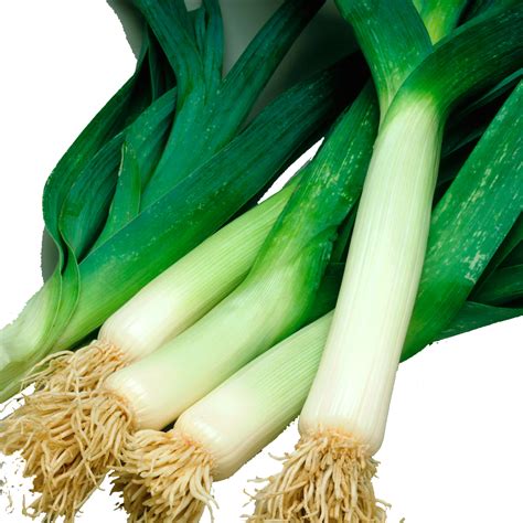 American Flag Leeks Jojemiagroshop