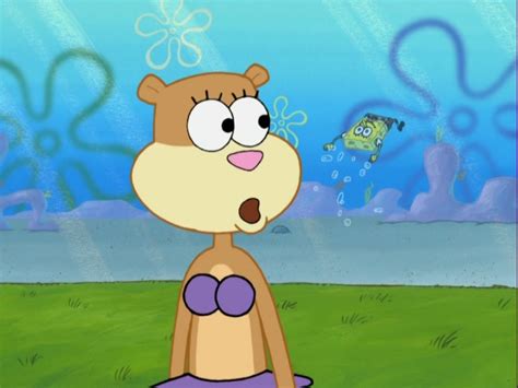 Image Flowers For Sandy 022png Encyclopedia Spongebobia Fandom
