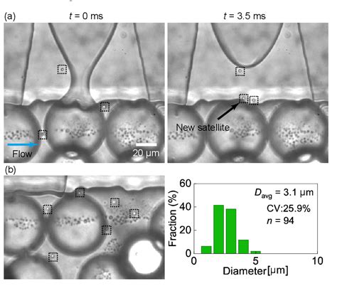 Figure 3 From Microfluidic Coupling Of Step Emulsification And