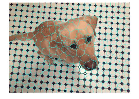 Superpixels 2 D Superpixel Oversegmentation Of Images Matlab