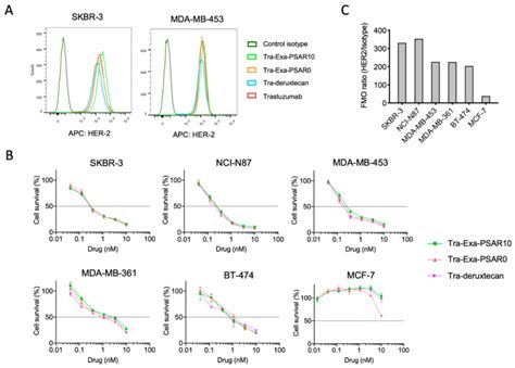 Exatecan Antibody Drug Conjugates Based On A Hydrophilic Polysarcosine Drug Linker Platform Pmc