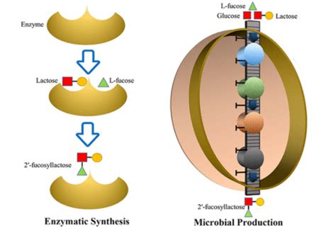 Australia And New Zealand To Greenlight Genetically Modified 2