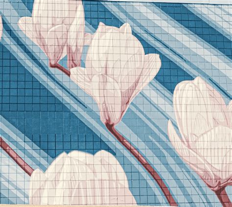 Collin Elder Bump Festival