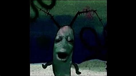 Plankton Moaning Youtube