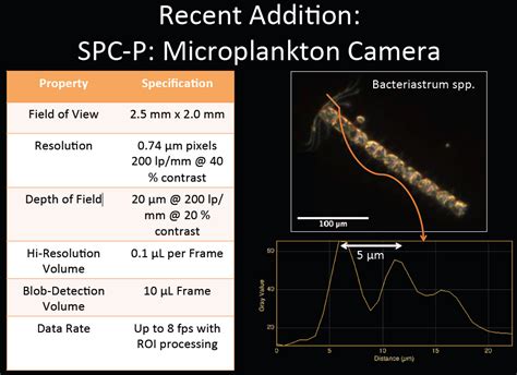 Spcp Specs Scripps Plankton Camera System
