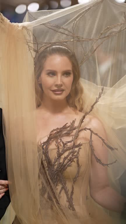 21 Lana Del Rey Art And Film Gala Stock Videos Footage And 4k Video