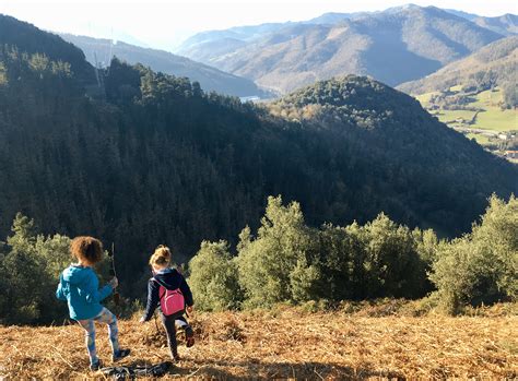 La Conservación De Los Bosques Y Su Impacto Social Bosques