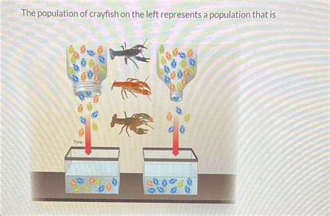 Solved The Population Of Crayfish On The Left Represents A
