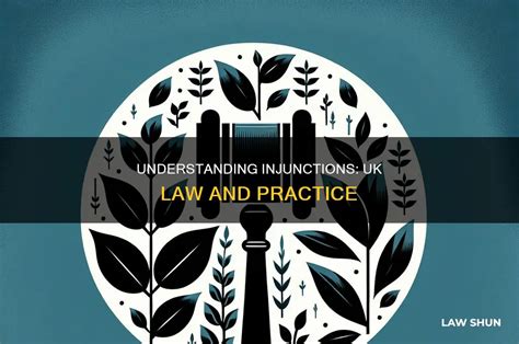 Understanding Injunctions Uk Law And Practice Lawshun
