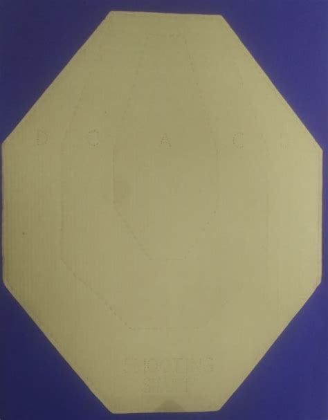 Target Classic Target For Target Stand 1 Off Advanced Shooting