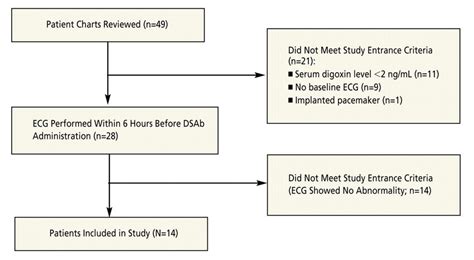 Algorithm Depicting Review Of Patient Charts For Inclusion In A