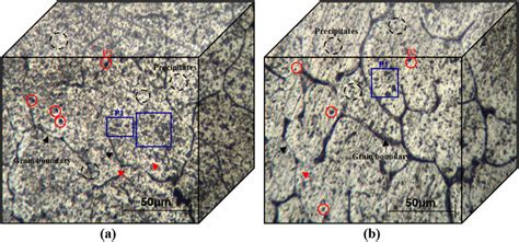 Optical Microstructures Etched A Aged 5 Wt Composite At 0 Nmm