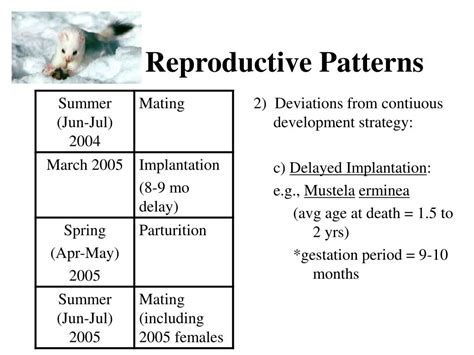 Ppt Reproduction Powerpoint Presentation Free Download Id6556753