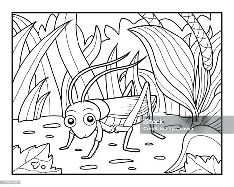 Buku Mewarnai Belalang Di Rumput Ilustrasi Stok Unduh Gambar Sekarang