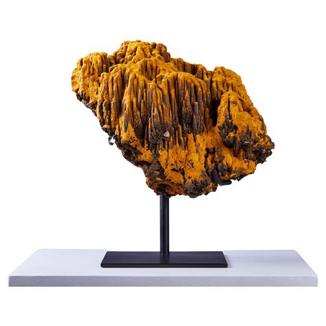 Rare Gogotte Formation In Perfect Condition With Bespoke Display Stand