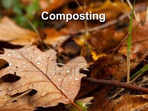 Composting Ppt