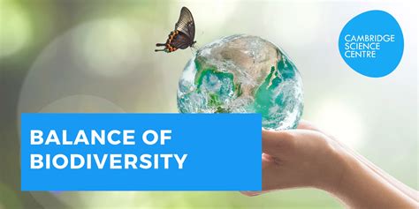 Balance Of Biodiversity Alumni
