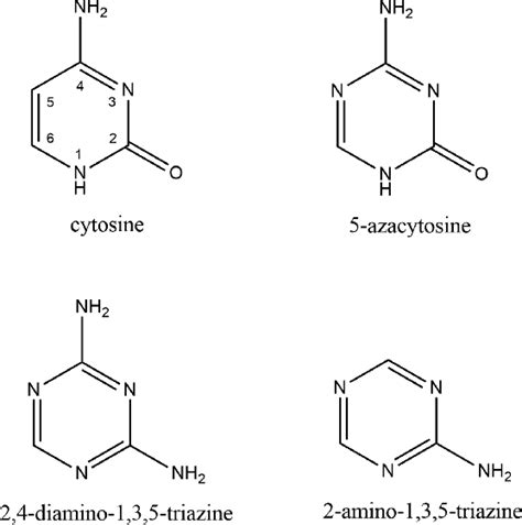 Cytosine Structure
