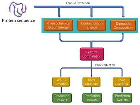 Protein Protein Interactions Prediction Based On Graph Energy And
