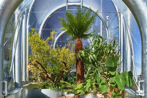Hothouse Installation Grows Tropical Plants In The Middle Of London