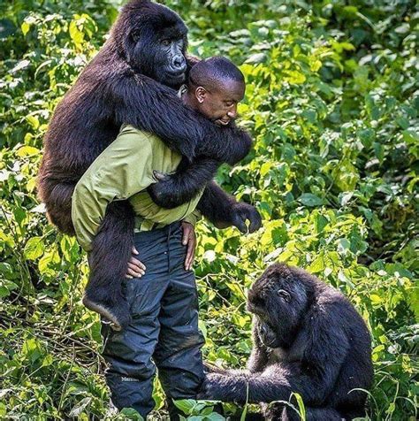 And Here Is In Rwanda My Home My Country My Pride Visitrwanda Proudlyrwandan