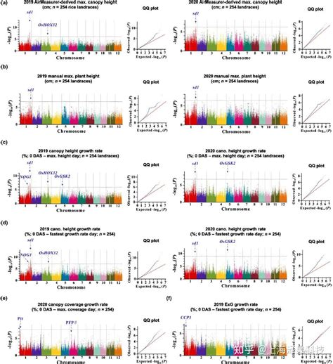 Airmeasurer：多点多季田间水稻动态表型分析与关键农艺性状的基因位点关联分析 知乎