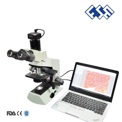 Illuminator Microscope