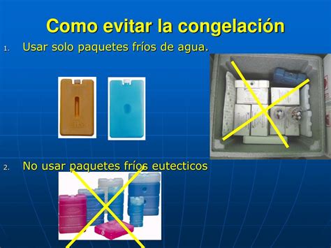 Ppt Recomendaciones Para Fortalecer La Cadena De Frío Powerpoint Presentation Id 5125134