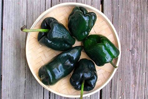 Chile Verde Los Diversos Significados Y Usos Del Término