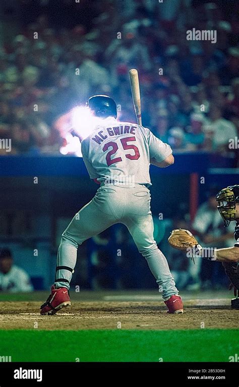 Mark Mcgwire St Louis Cardinals During The Home Run Record Breaking