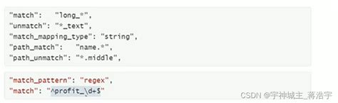 Es Elasticsearch 九 索引index 定制分词器 Type结构后期弃用原因 定制动态映射 动态映射模板 零停机重建索引es