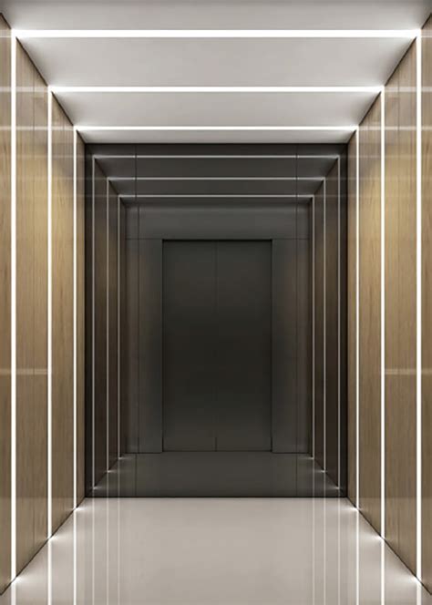 Passenger Elevator Elmo Elevator Escaltor