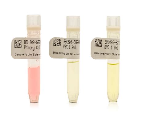 Single Cell Sample Prep And Library Construction Discovery Life Sciences