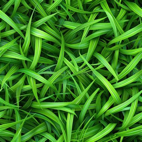 3d Render Of Grass Texture Seamless Pattern Green Realistic High Detail Seamless Background