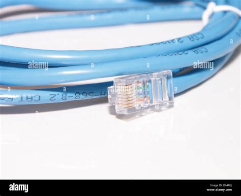 This Image Shows A Blue Utp Unshielded Twisted Pair Patch Cable