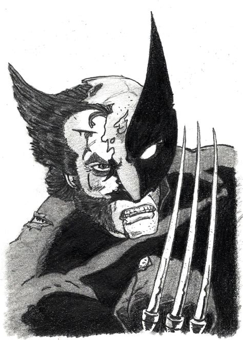 Wolverine 17 By Larkimy On Deviantart