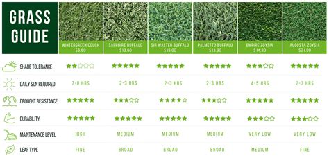 Comparing Grass Types — The Turf Shed