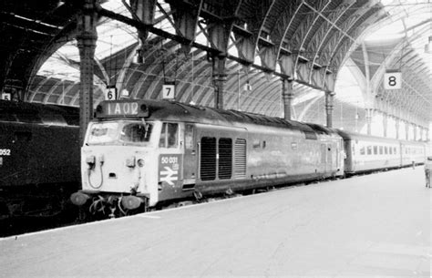 Class 50 Diesel Photo Gallery 50031 Photo Area