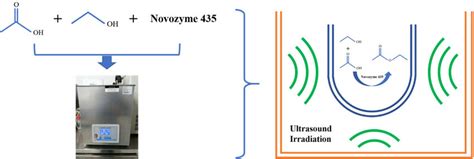 Schematic Representation Of Esterification Reaction Download