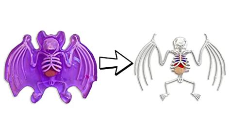 Synthetic Lab Dissection Toy Bat Teee Unique Ts